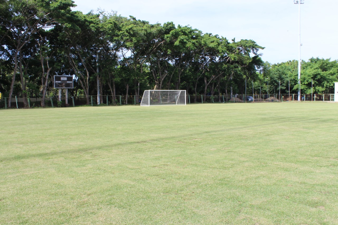Campo de fútbol Parque del Este en fase final de recuperación