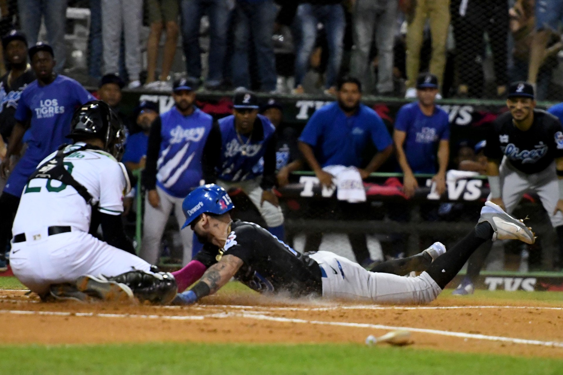Licey gana tercero seguido de la final y está a un triunfo del título